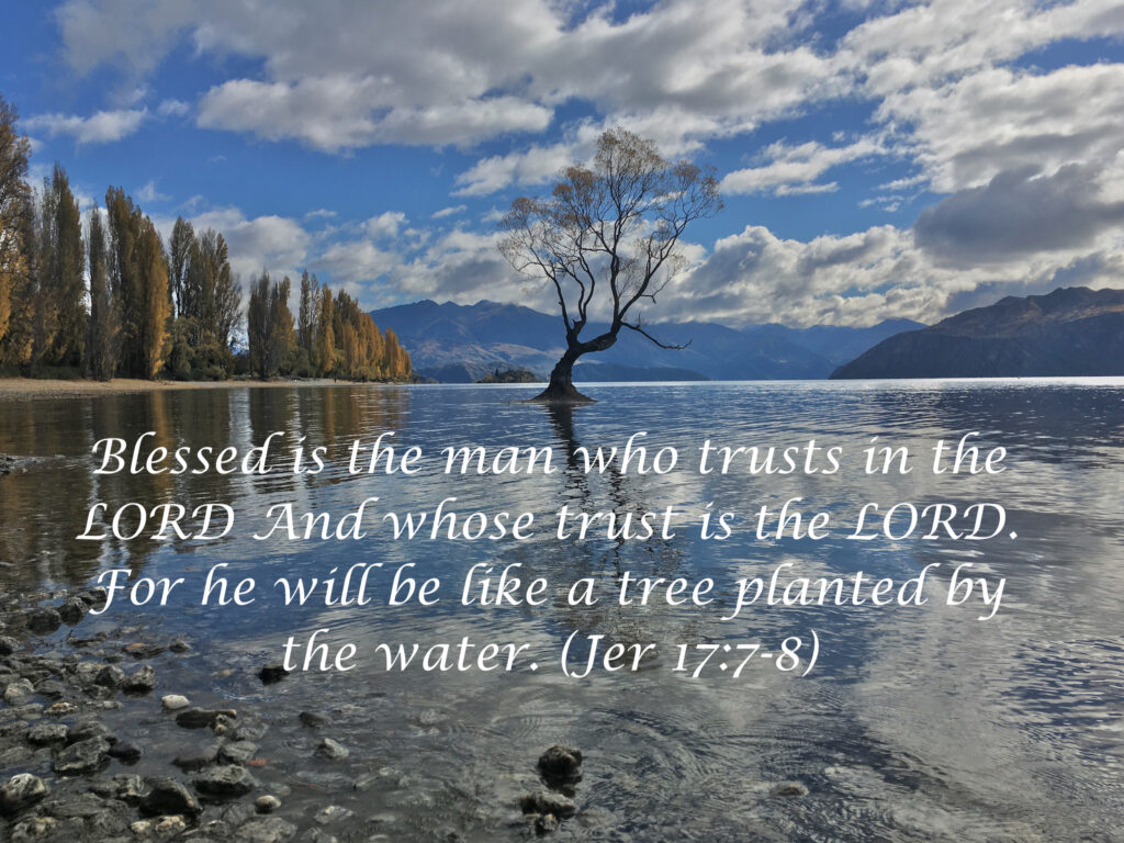 Walking in the way of life (Jer 38:14-28) - Labradorite Moments