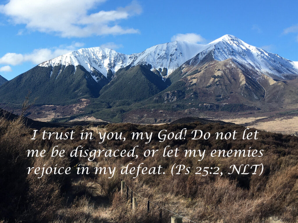 How to stand up for the truth (Jer 38:1-13) - Labradorite Moments