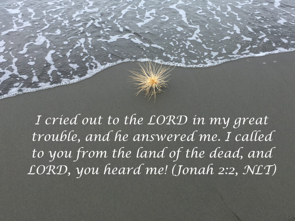 What does it take for God to hear our cry? (Jonah 2) - Labradorite Moments