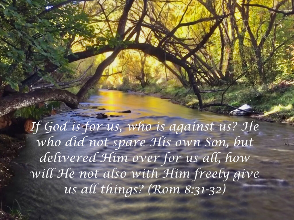 Is there a way out of sin and guilt? (Zechariah 3) - Labradorite Moments